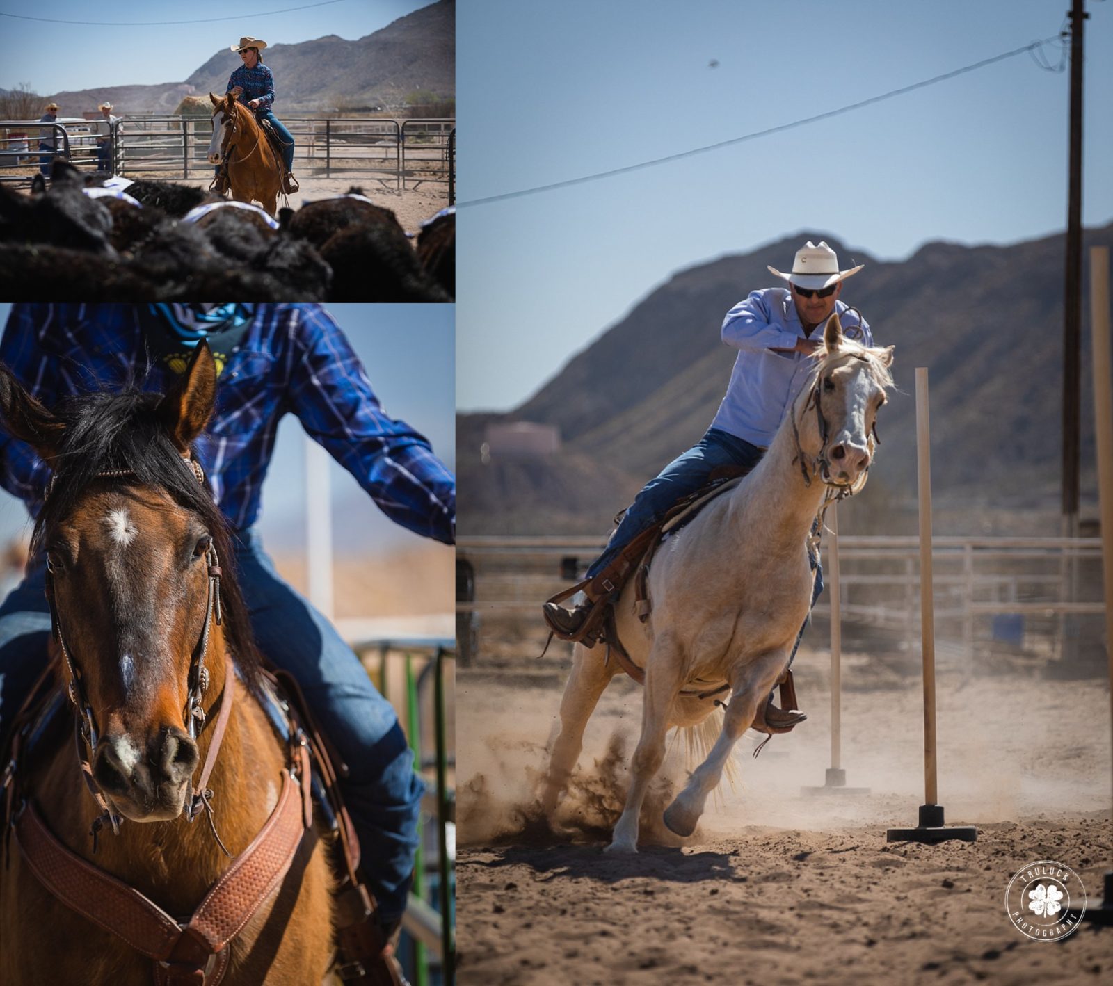 What is an Extreme Cowboy Race? - truluckphoto.com