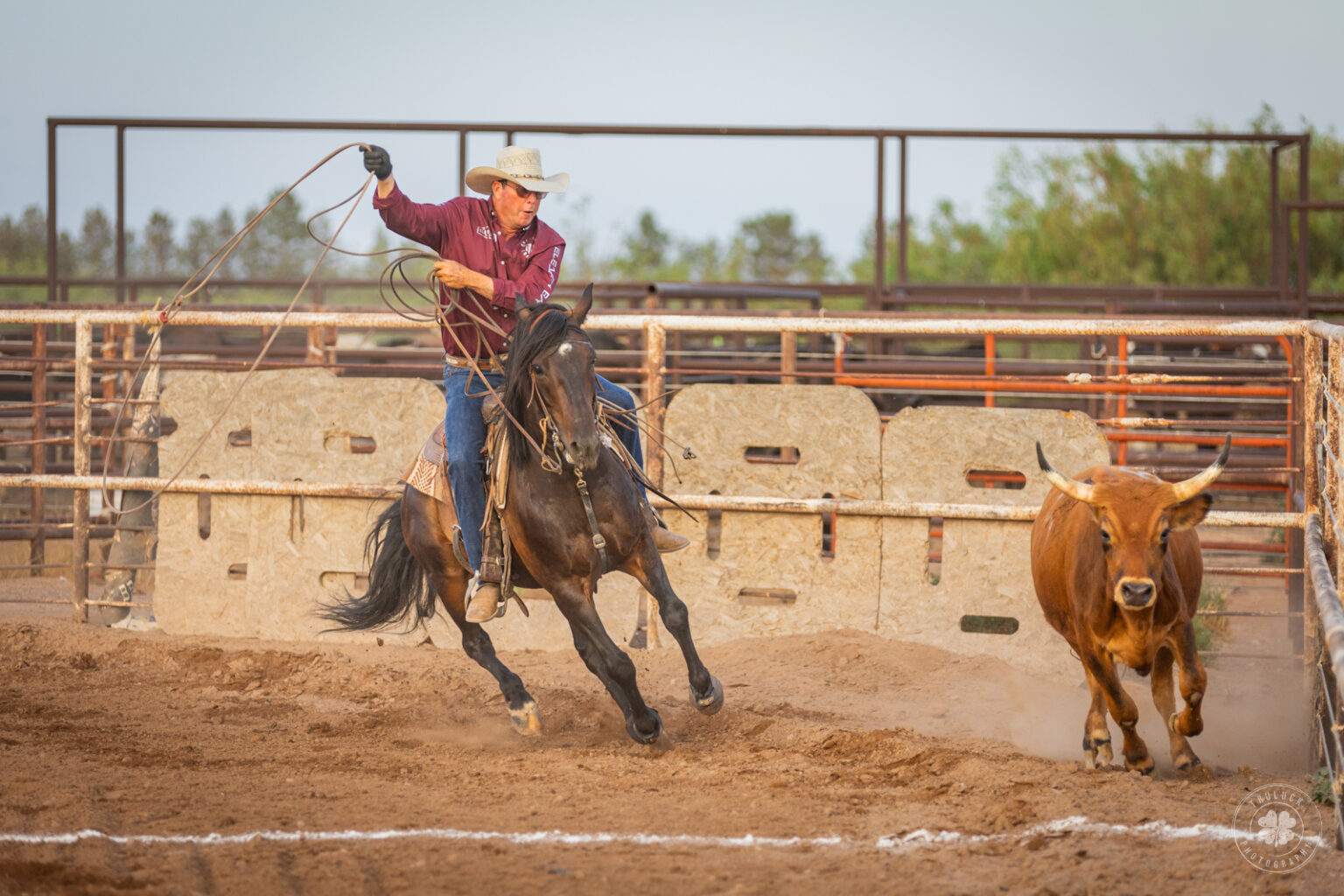 Homepage - truluckphoto.com